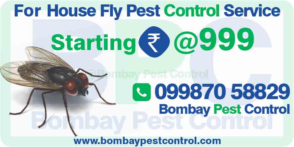 BPC - Pest Control in Mumbai, Navi Mumbai, Thane